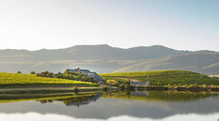 Creation Wines, Hermanus - Book Online | Dineplan