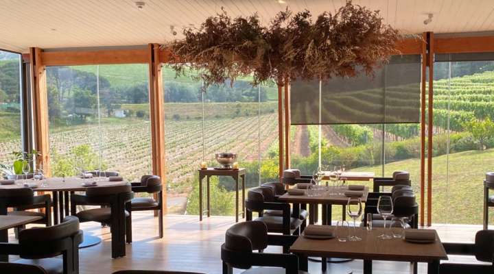 Beyond Restaurant, Nova Constantia | Dineplan