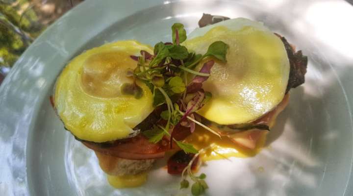 Avianto Buffet & Special Events, Muldersdrift | Dineplan