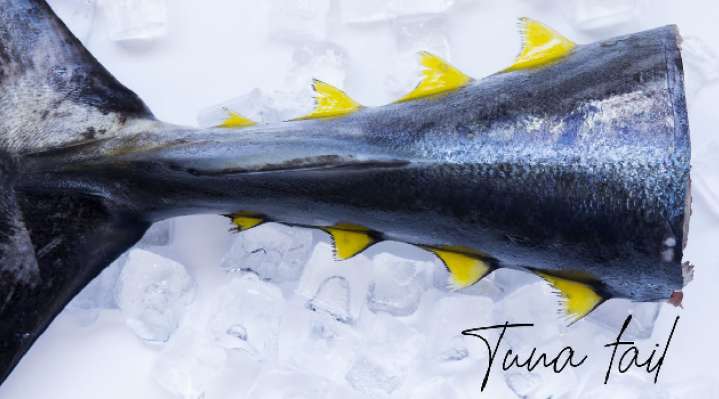 Cafe Orca, Melkbosstrand - Book Online | Dineplan